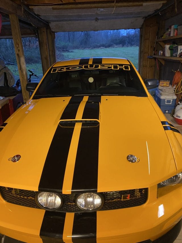 Stories Archive - Mustang Trader Online